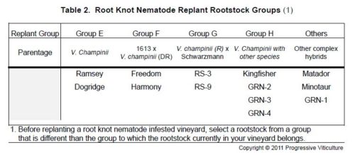 SELECTING A ROOTSTOCK FOR A WINEGRAPE VINEYARD | Lodi Growers