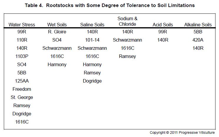 SELECTING A ROOTSTOCK FOR A WINEGRAPE VINEYARD | Lodi Growers