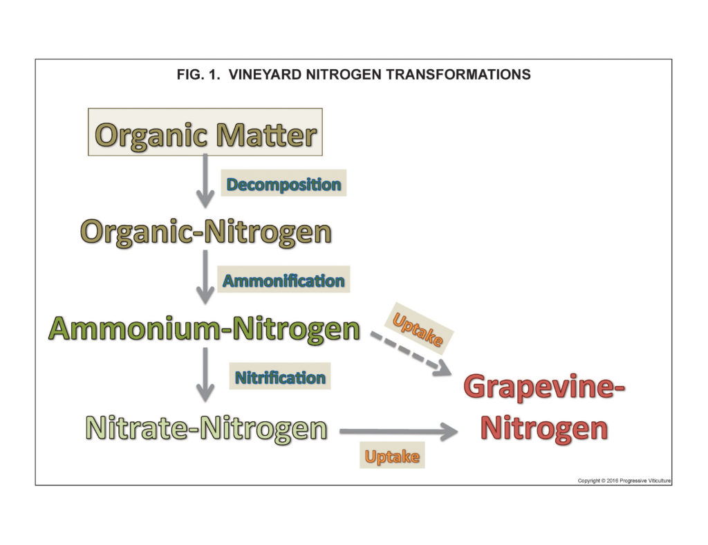 NITROGEN FERTILIZER FORMS | Lodi Growers
