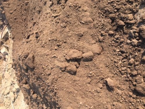 SOIL AMENDMENTS FOR VINEYARDS – WHAT ARE THE BENEFITS? | Lodi Growers