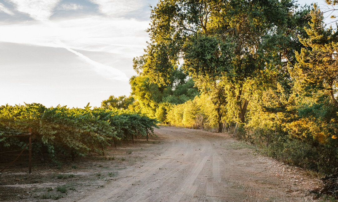 Staff | Lodi Growers