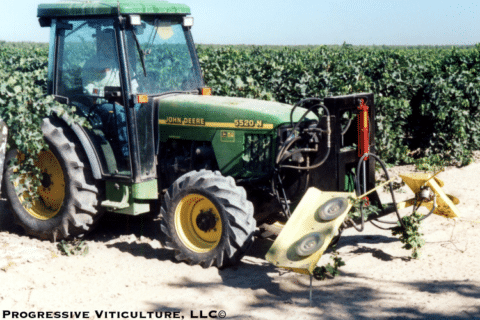 GRAPEVINE CANOPY MANAGEMENT REVISITED PART 2 | Lodi Growers