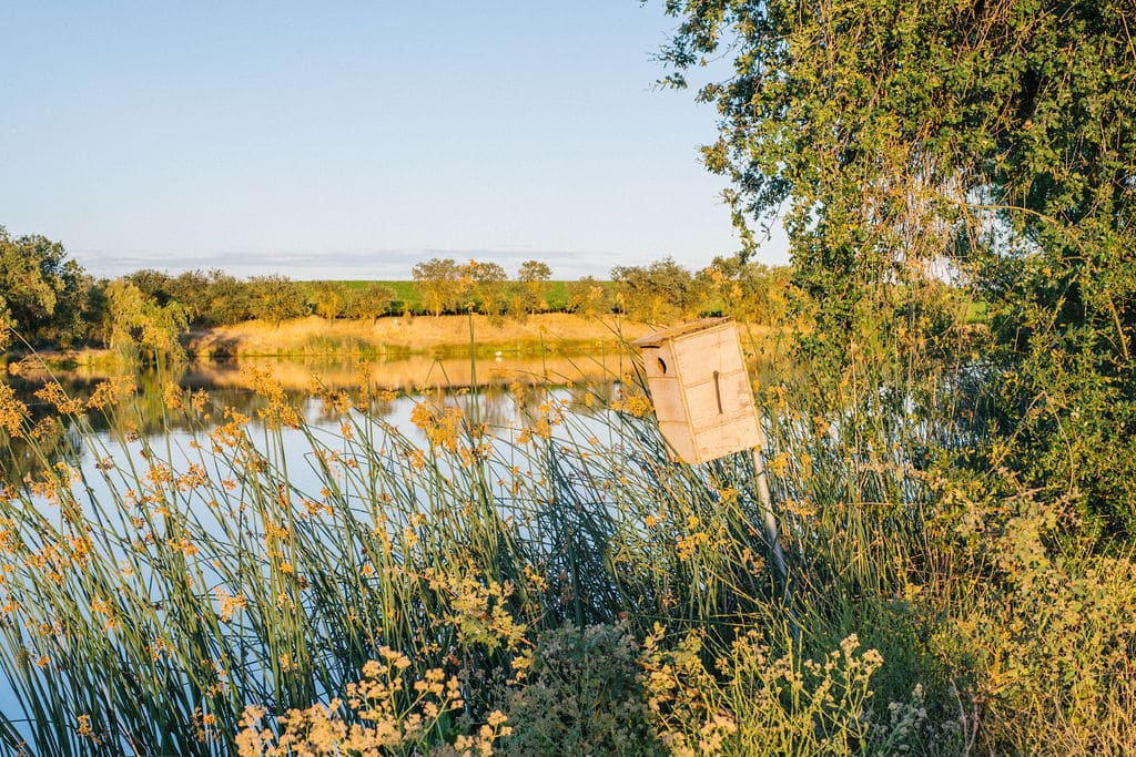 Lodi Growers | Lodi Growers